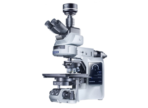 BCF – Biomedical Core Facility