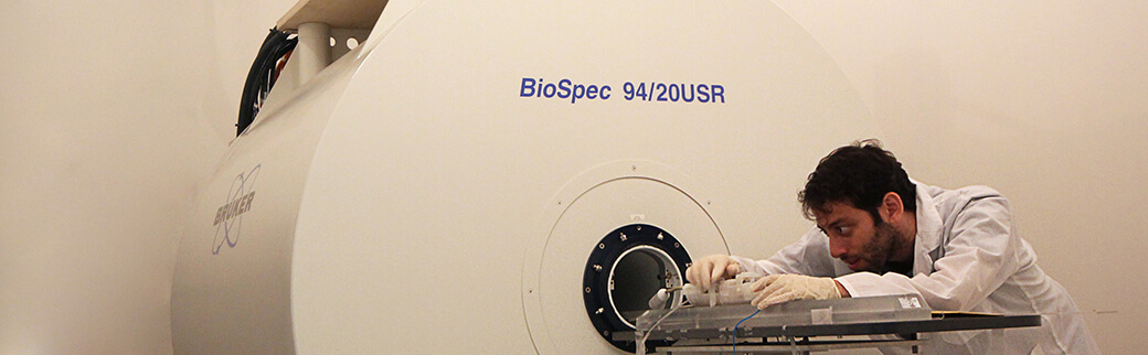 BCF – Biomedical Core Facility