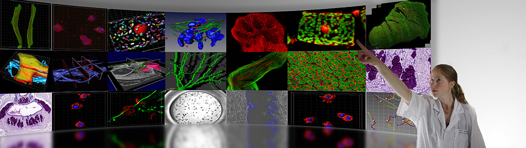 BCF – Biomedical Core Facility